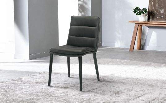 Dining Chairs - Dining Room